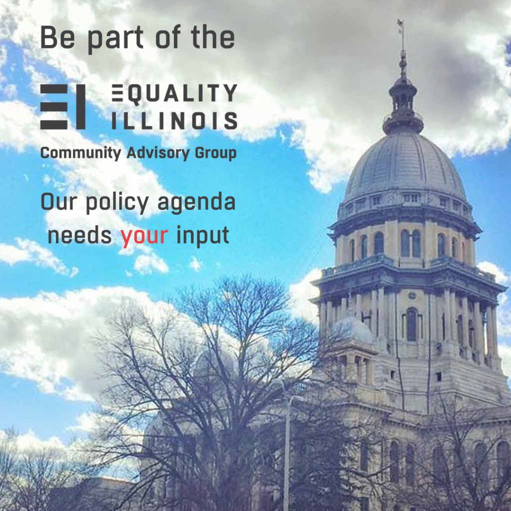 Apply for 2018-19 Community Advisory Group – Equality Illinois